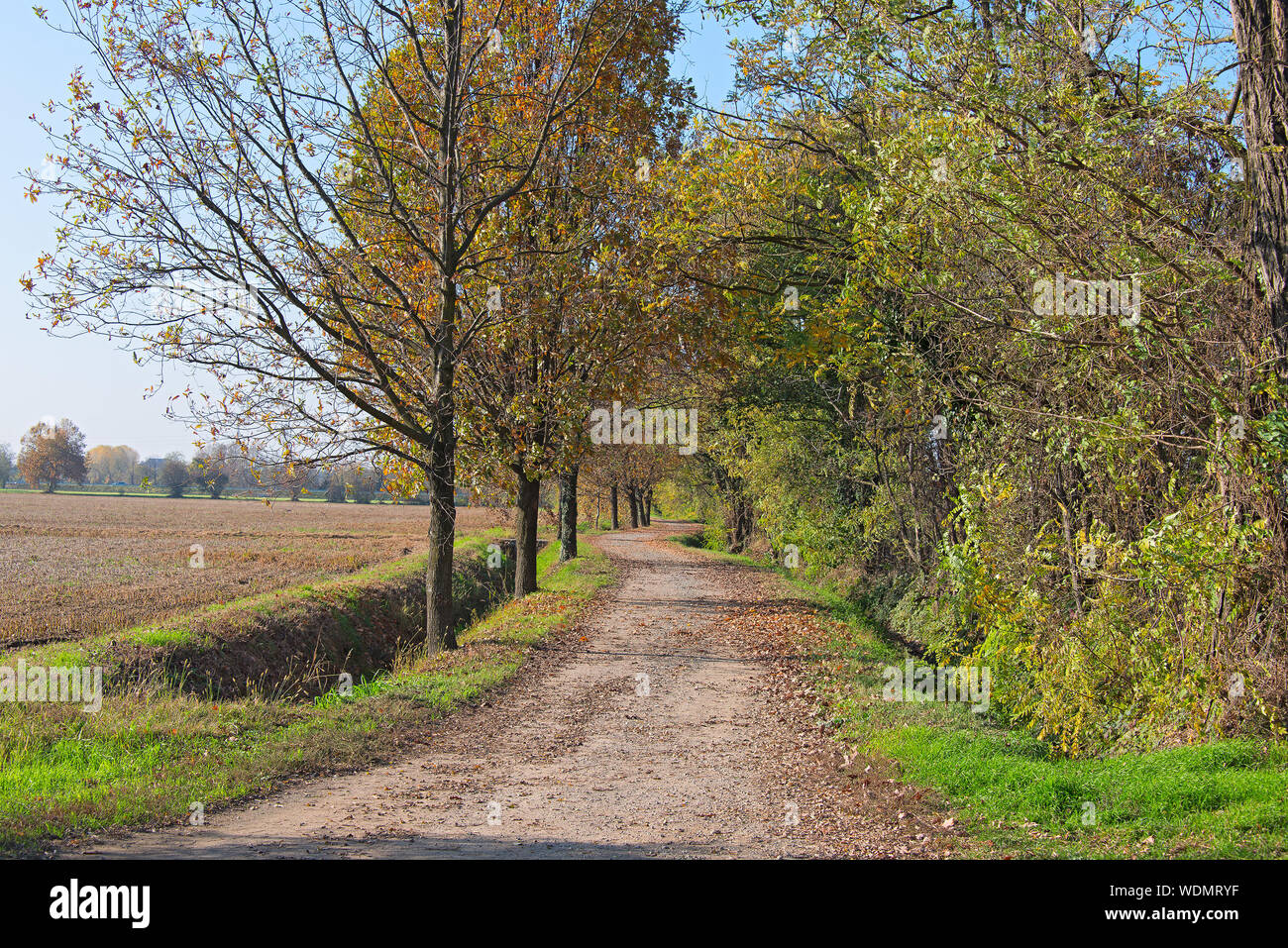 Pioltello hi-res stock photography and images - Alamy