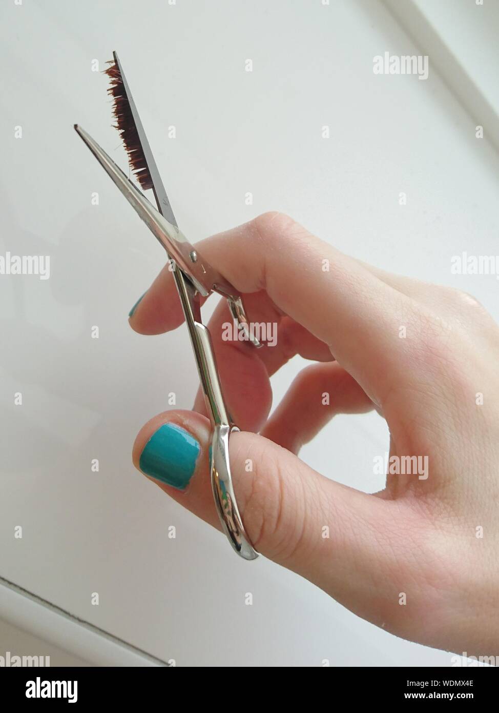 Person holding scissors hi-res stock photography and images - Alamy
