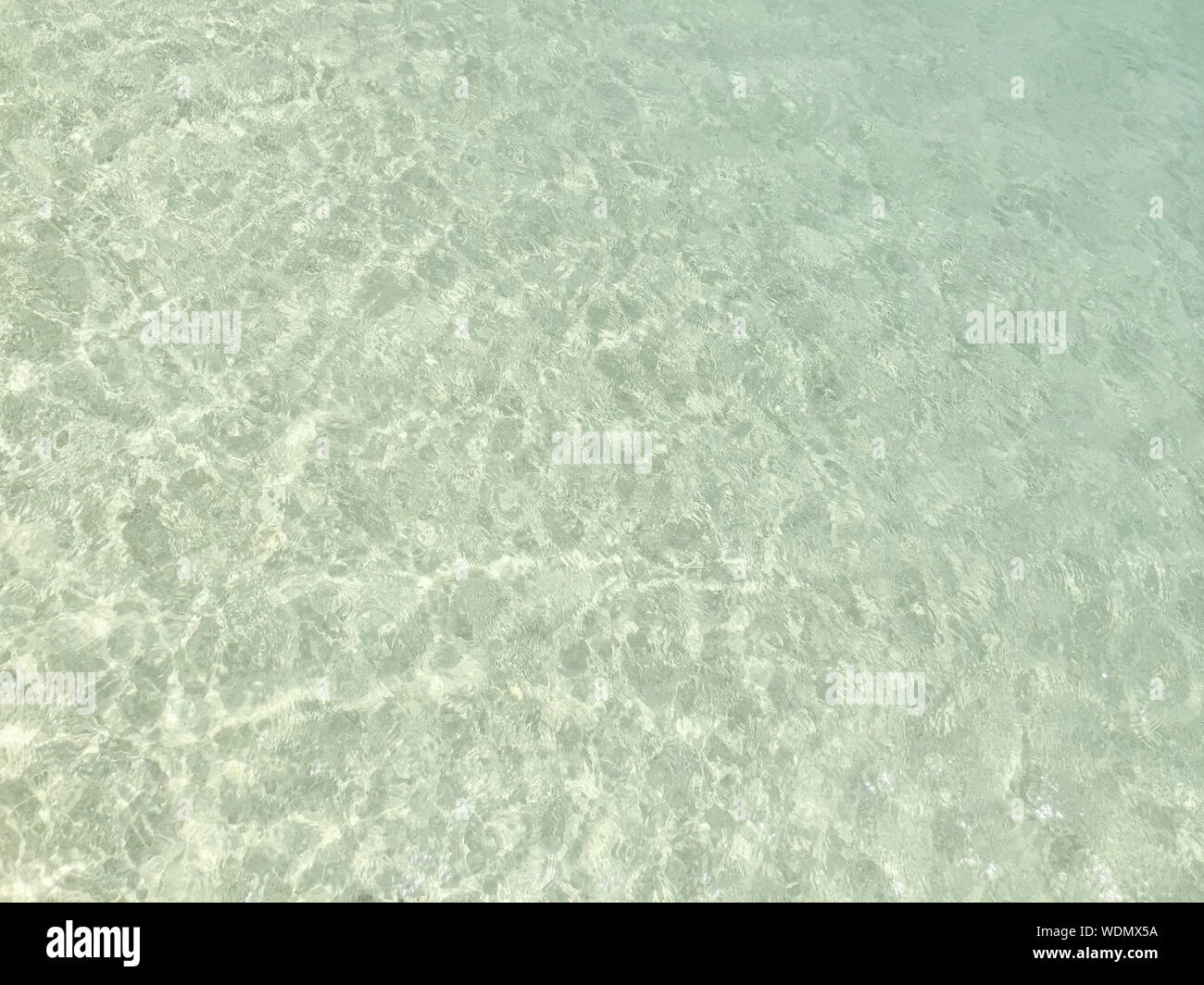 Light sand under the sea water on the beach, texture. Wonderful crystal ...