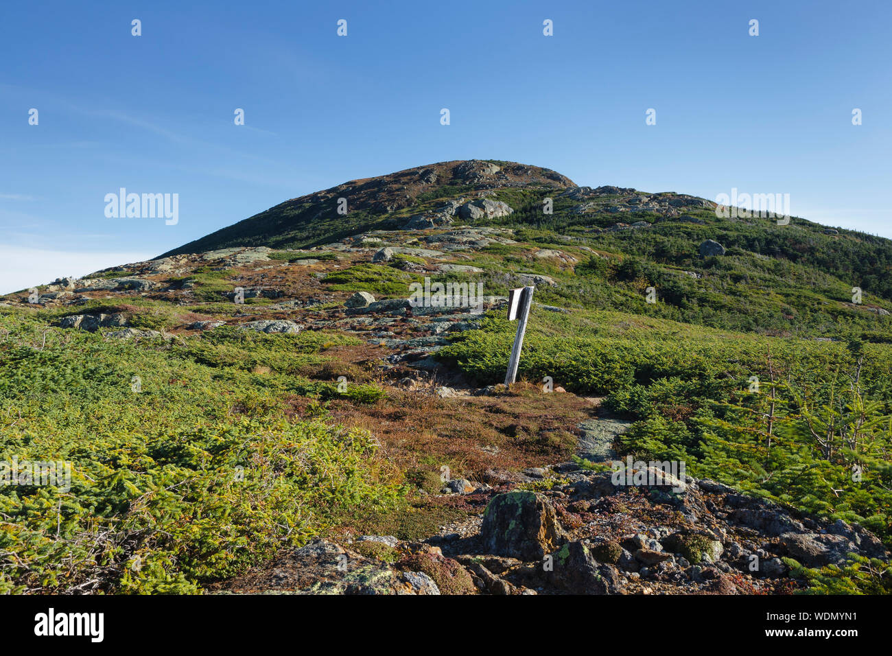 Crawford Path (Appalachian Trail), near Mount Franklin, in Sargent's ...