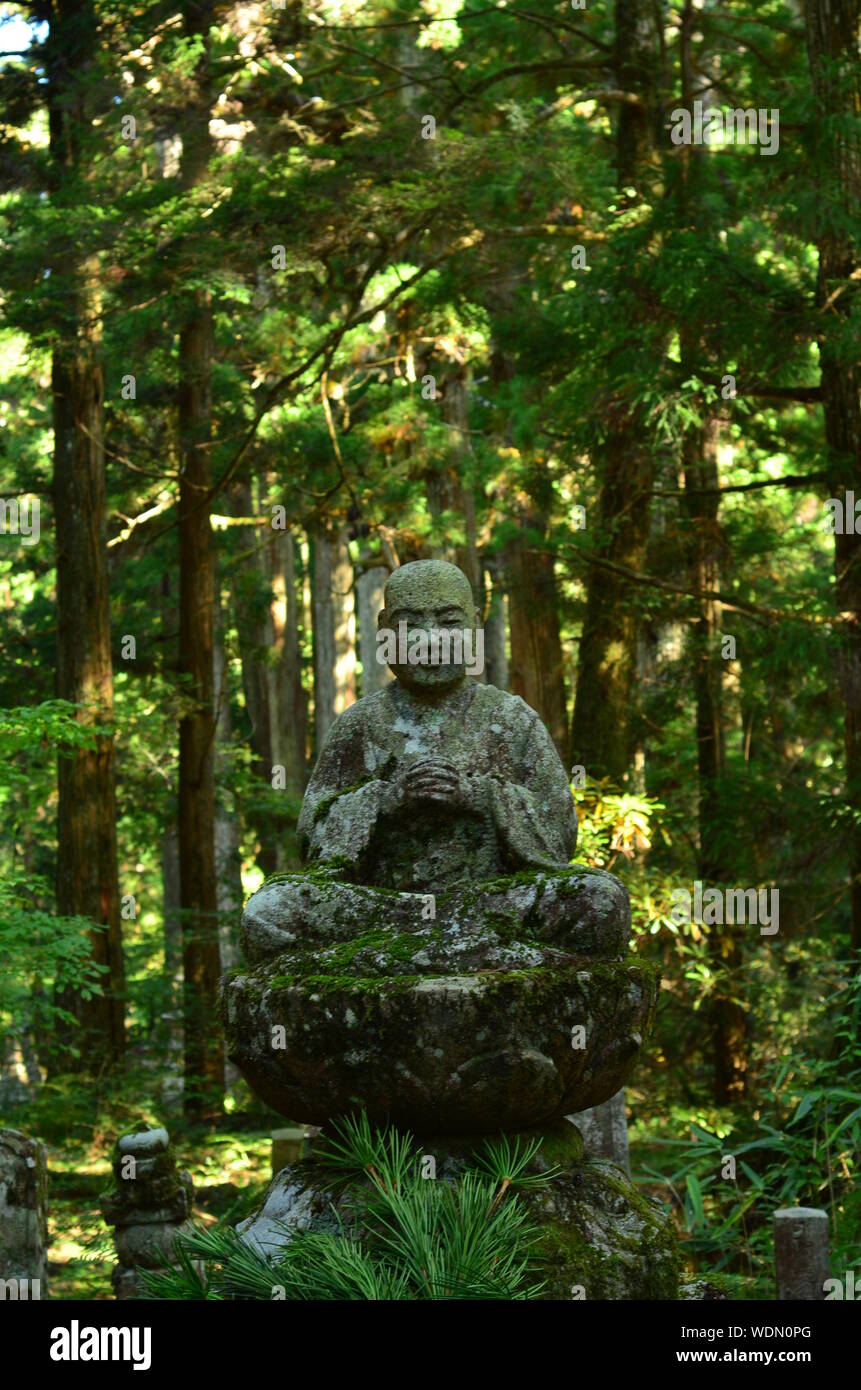 Buddha statue in forest hi-res stock photography and images - Alamy