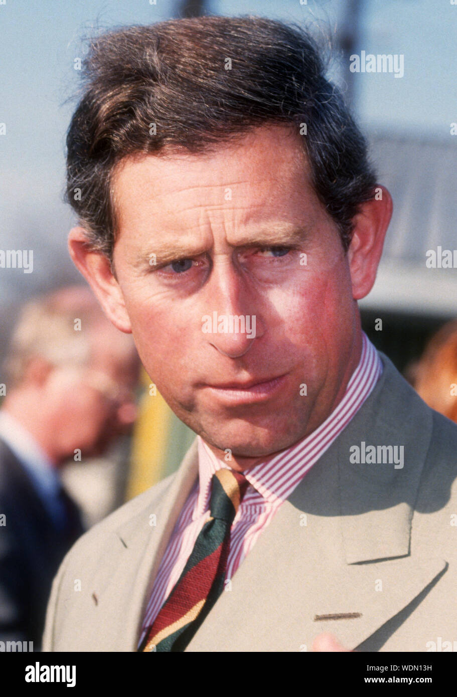 Prince Charles, 1994, Photo By Michael Ferguson/PHOTOlink Stock Photo ...