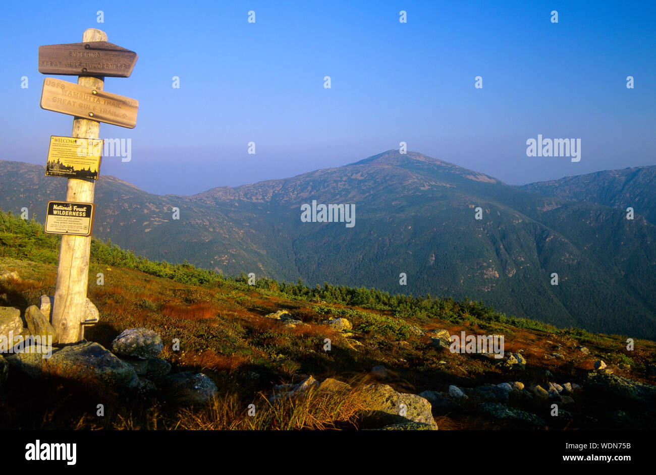 Entering white mountain national forest hi-res stock photography and ...