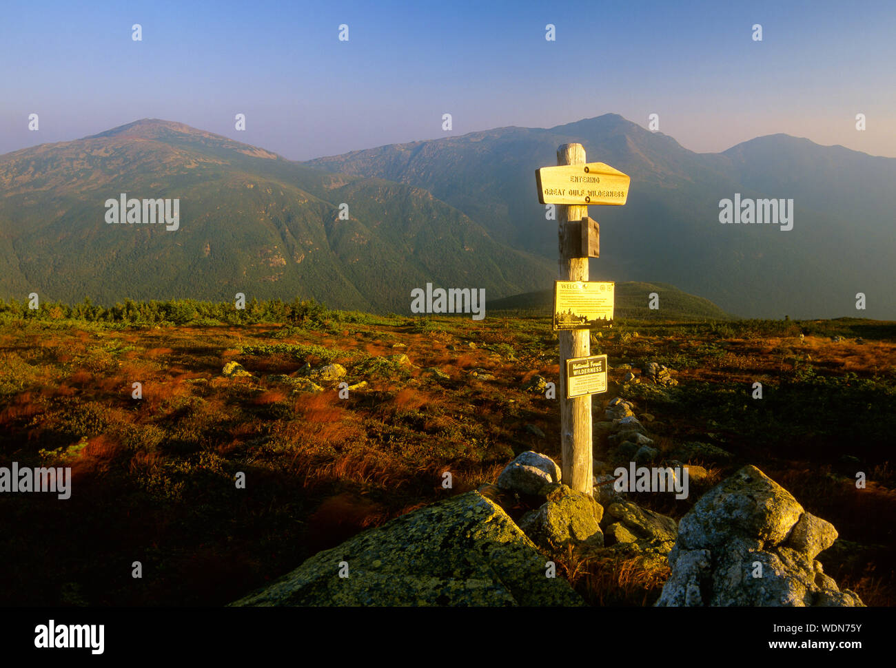 Entering white mountain national forest hi-res stock photography and ...