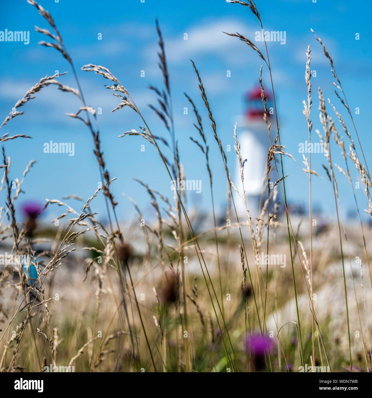 Canada outdoor blue sky hi-res stock photography and images - Alamy