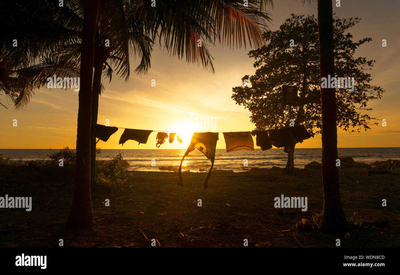 Laundry trees hi-res stock photography and images - Alamy