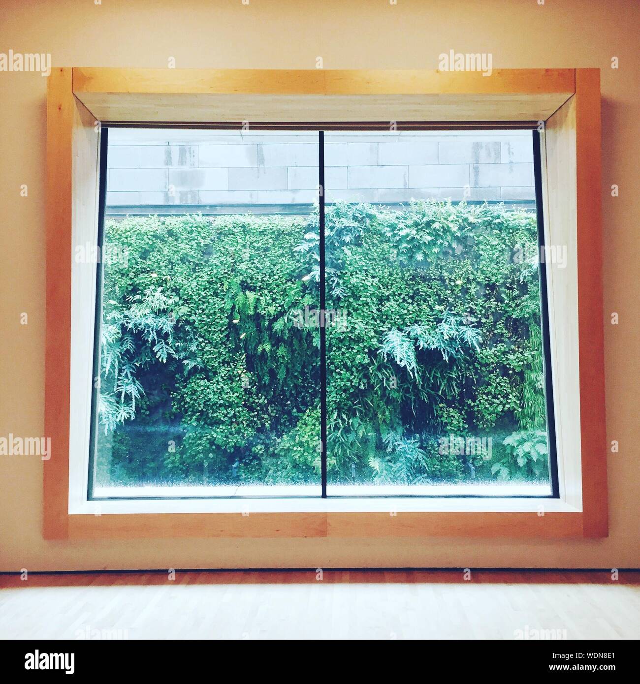 Square growing trees hi-res stock photography and images - Alamy