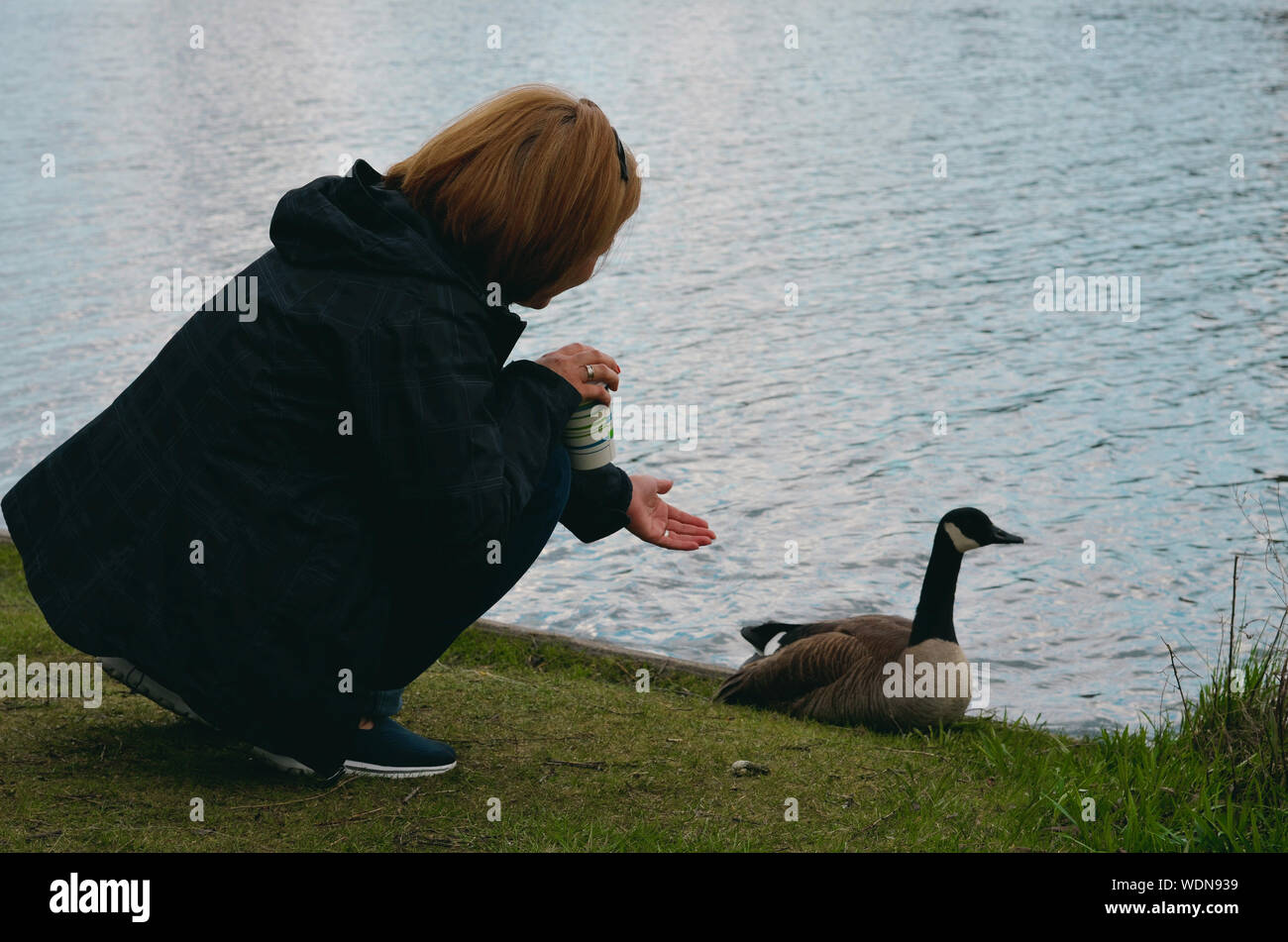 Crouching Bird High Resolution Stock Photography and Images - Alamy
