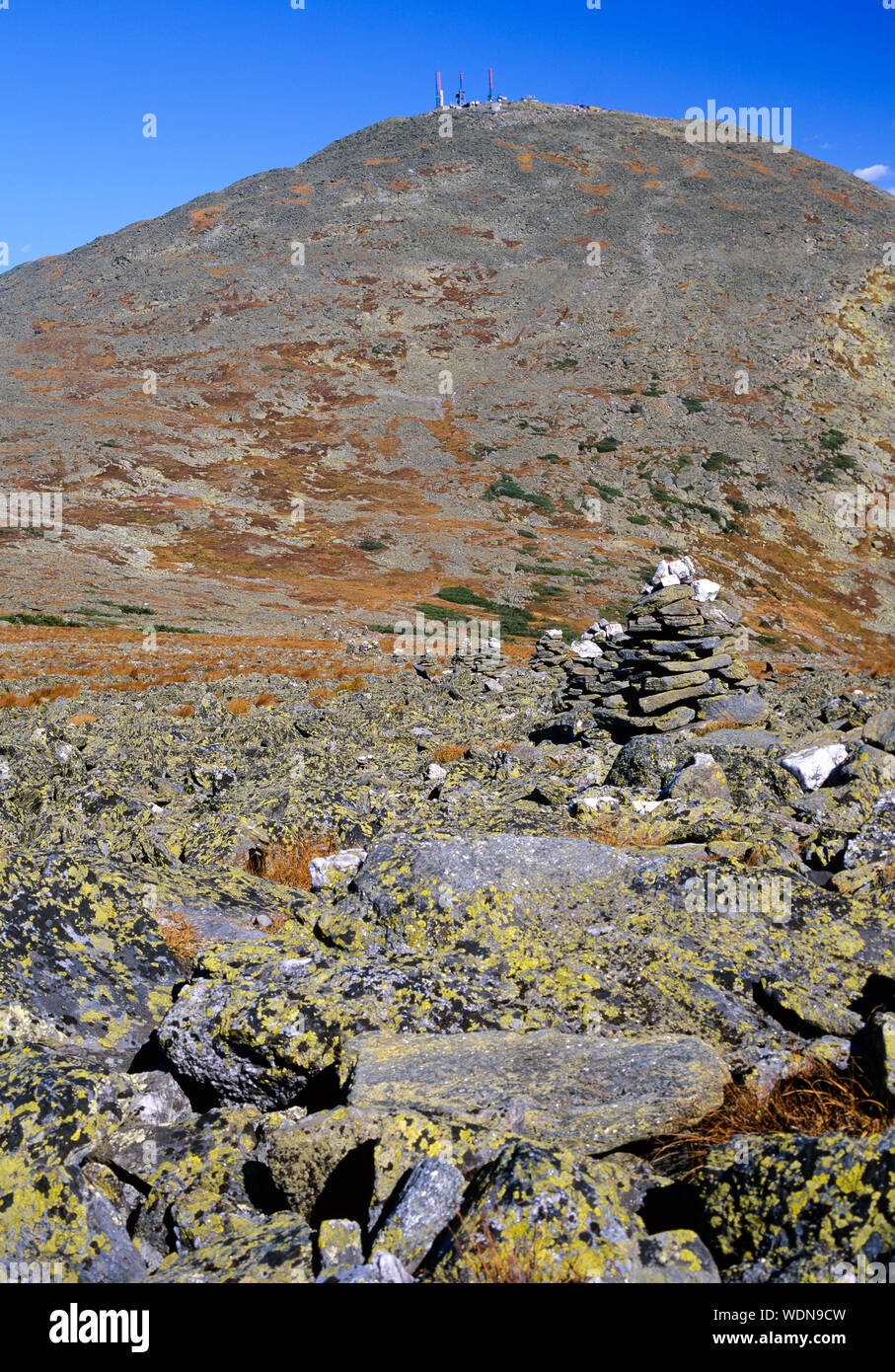 Mount Washington from along the Davis Path in Sargent's Purchase in the ...