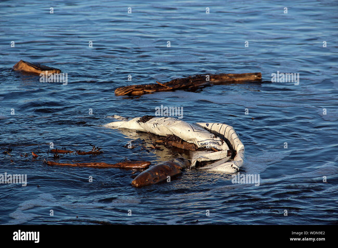 Crap at the beach Stock Photo - Alamy