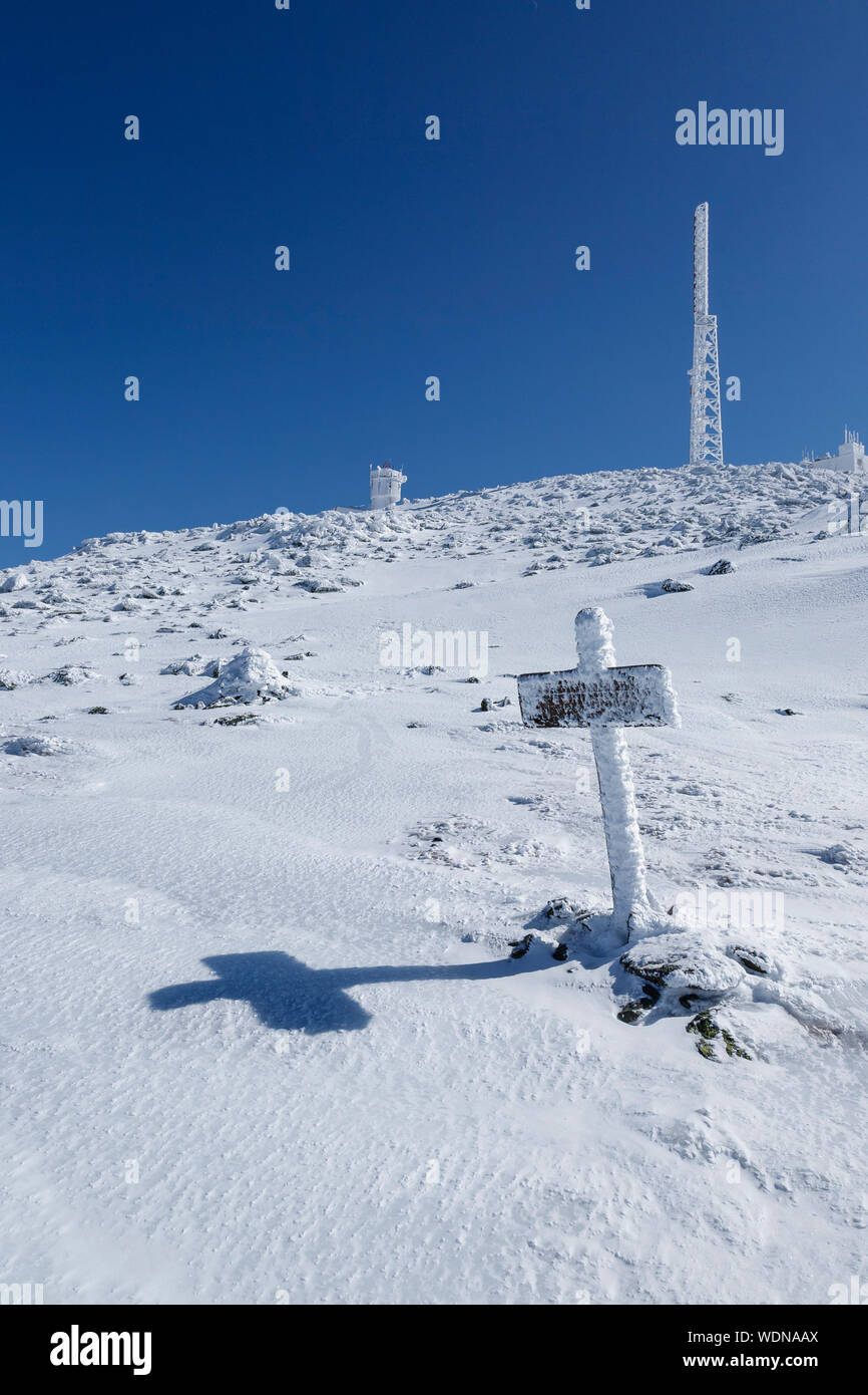 Sargents purchase hi-res stock photography and images - Alamy