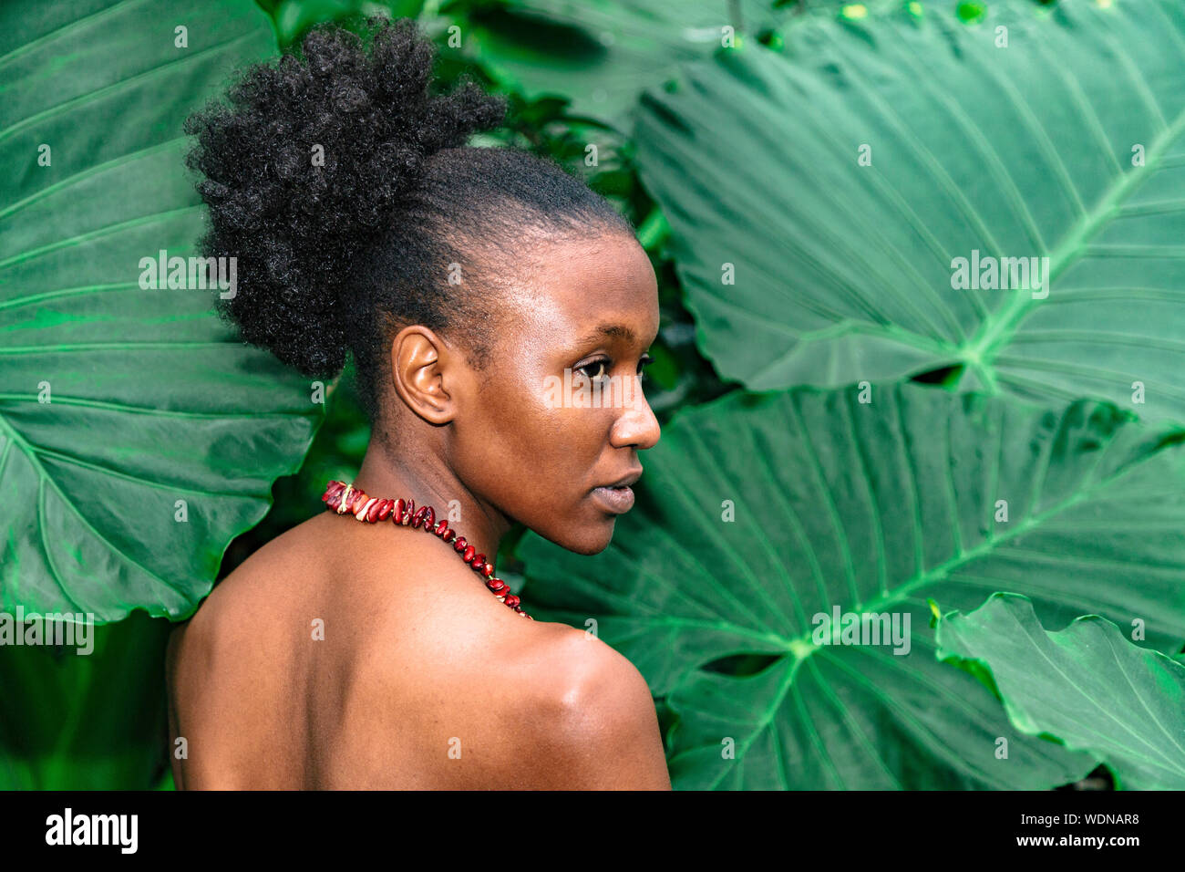 Half-turned african girl with bare shoulders with green leaves Stock ...