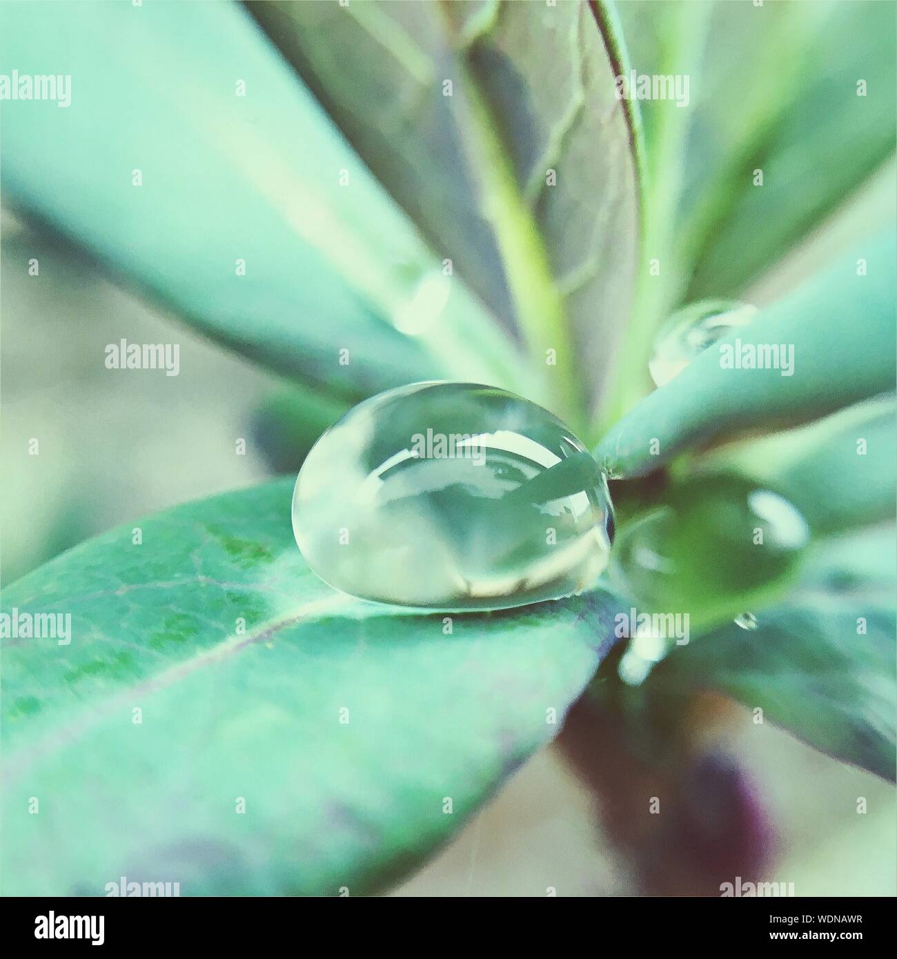 Water shoot hi-res stock photography and images - Alamy