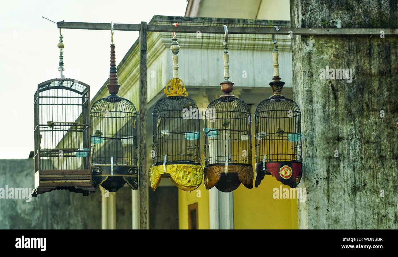 Hanging bird cage hi-res stock photography and images - Alamy