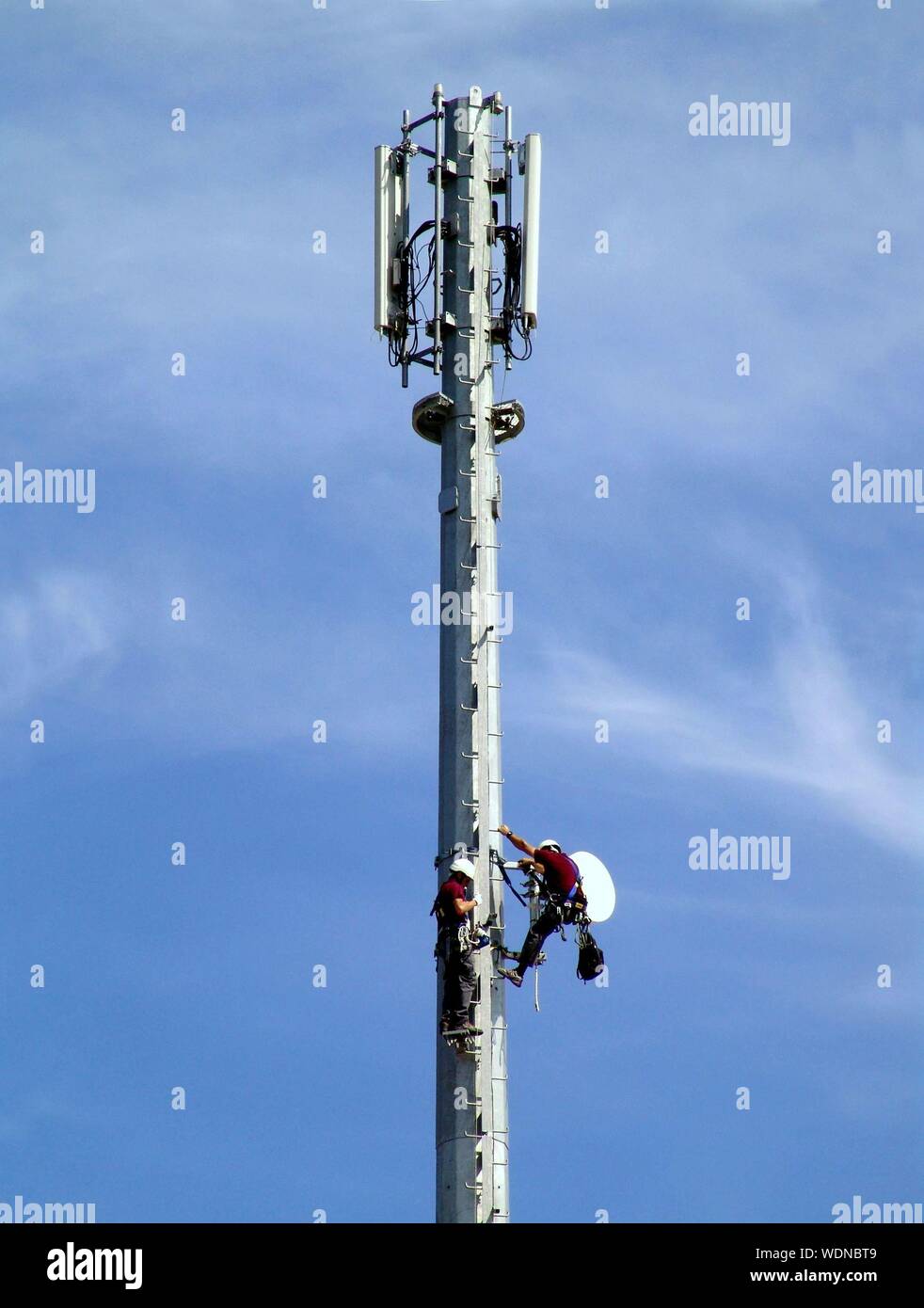 Electrician on electricity pole hi-res stock photography and images - Alamy