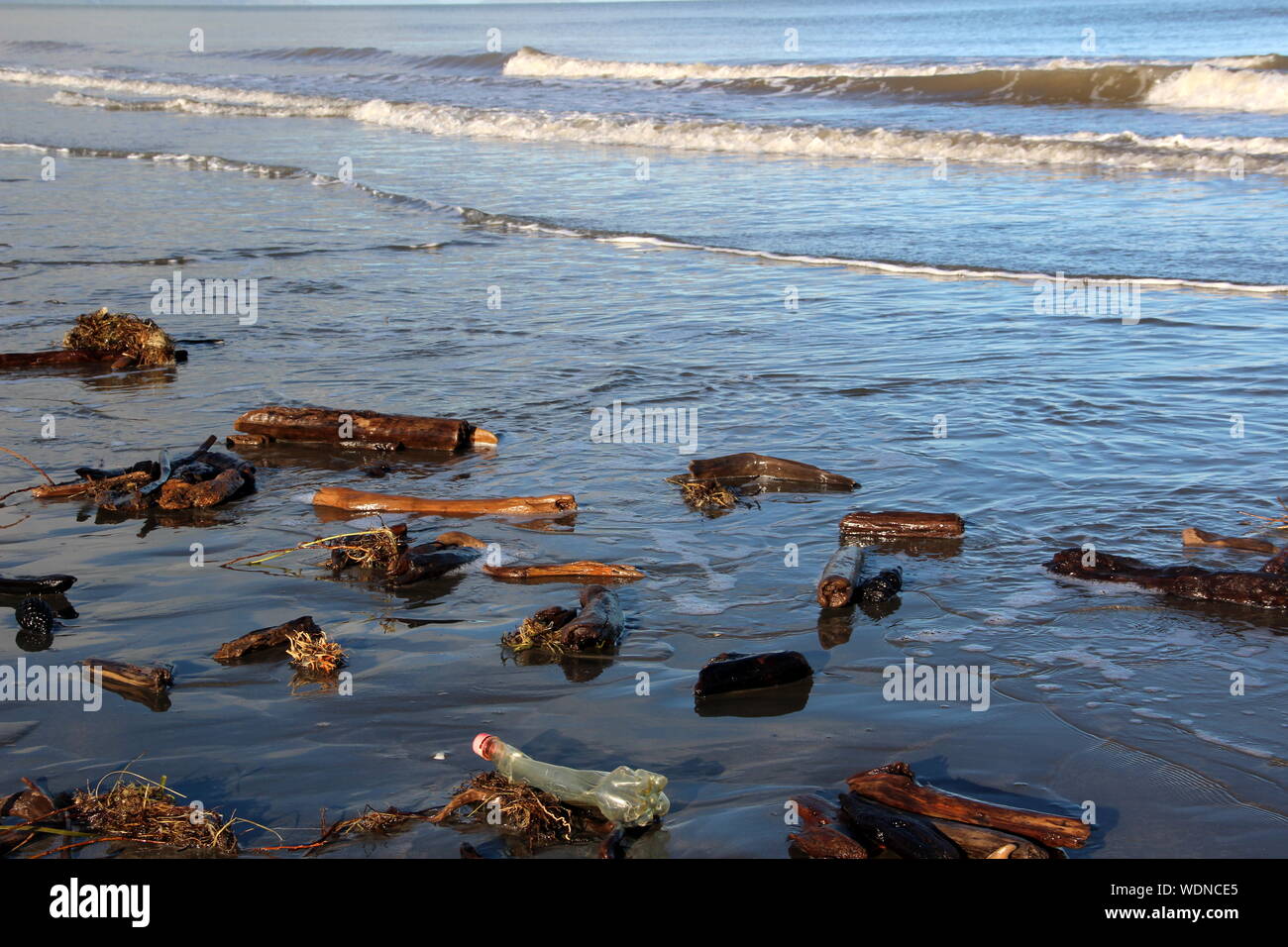 Crap at the beach Stock Photo - Alamy