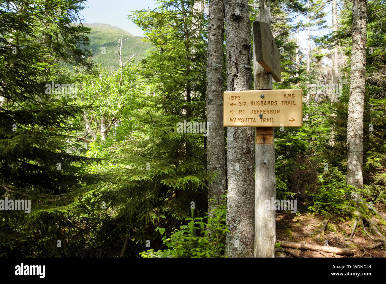 Six Husbands Trail in Thompson and Meserve's Purchase in the Great Gulf ...