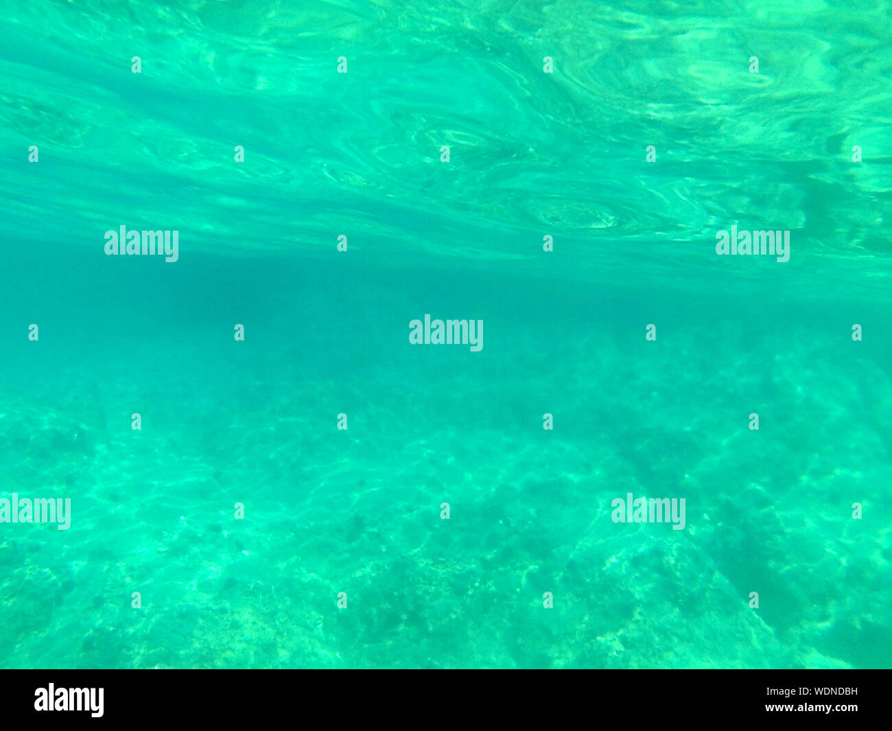 Underwater mystery photography, deep sea, beautiful colors Stock Photo ...