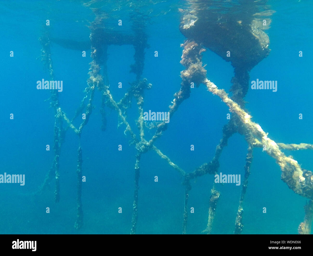 Underwater Mysteries
