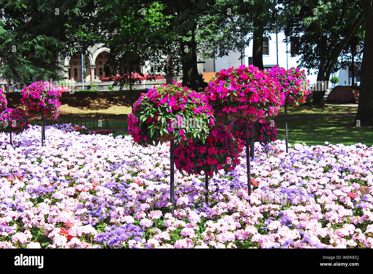 The Garden in Cardiff city, Wales Stock Photo - Alamy