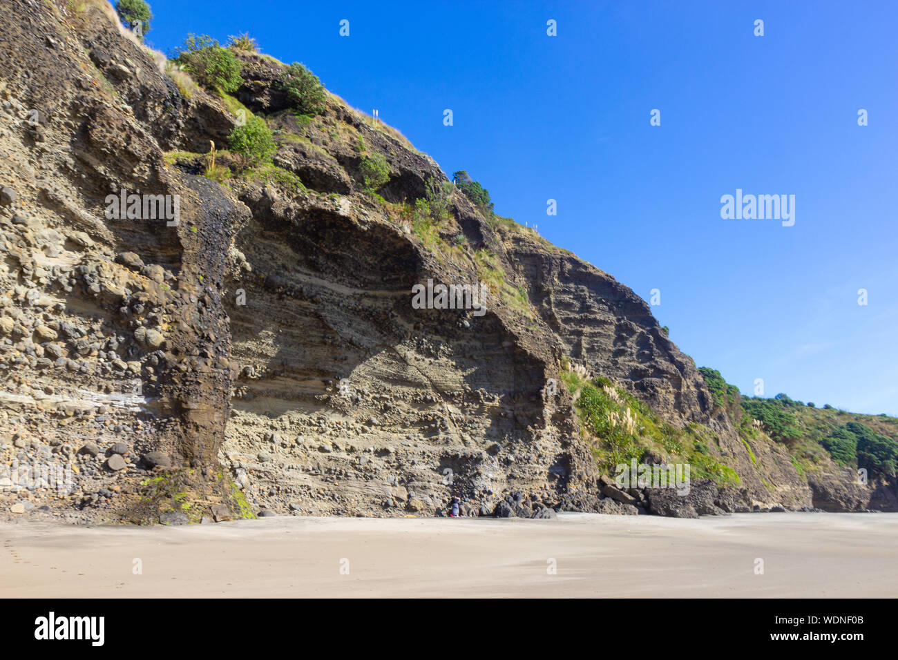 Piha beach new zealand hi-res stock photography and images - Alamy