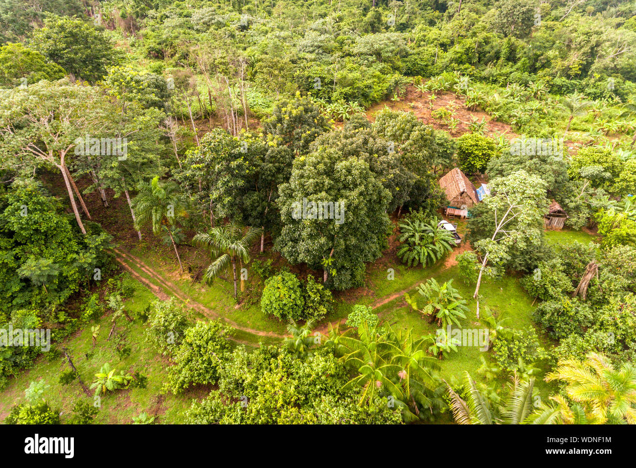 Brazil Agriculture Bananas High Resolution Stock Photography and Images ...