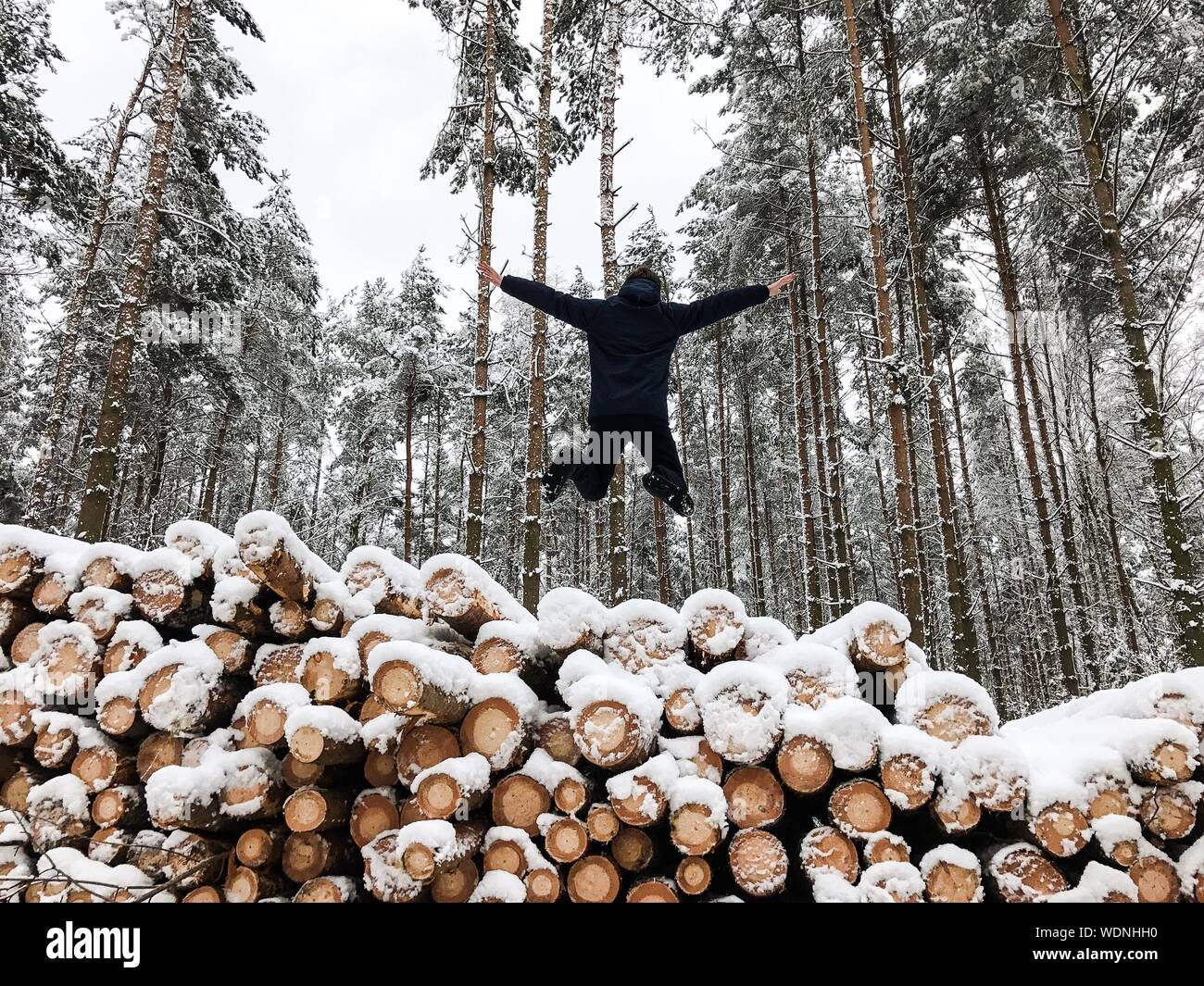 Tree logs covered in snow hi-res stock photography and images - Alamy