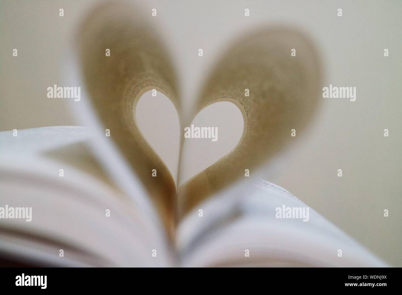 Close up shot book pages hi-res stock photography and images - Alamy