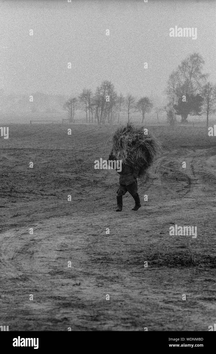 Walking in hay field hi-res stock photography and images - Alamy