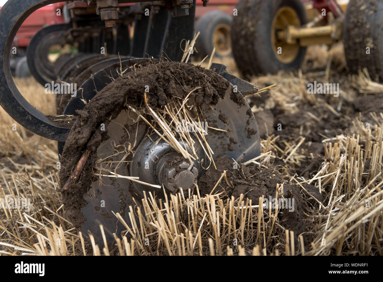 Combine harvester close up hi-res stock photography and images - Alamy