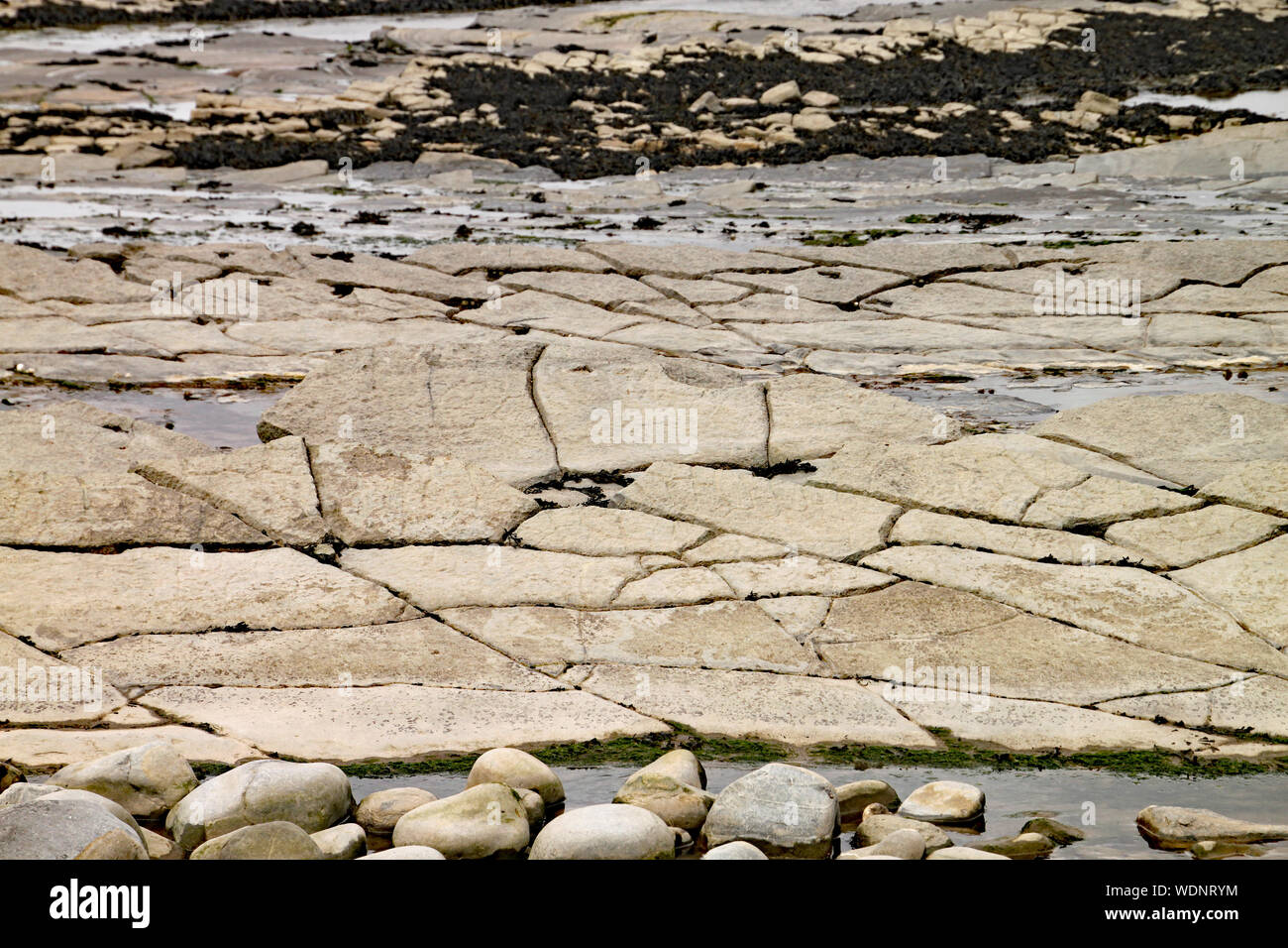 Kilve beach near East Quantoxhead in Somerset, England. Strata of rock ...