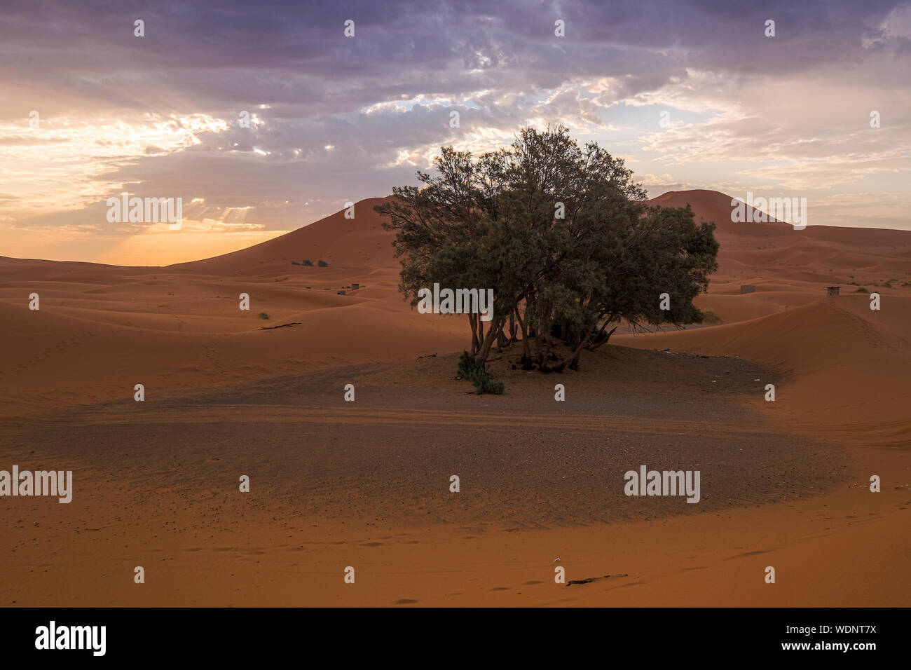 Desert sunset, Merzouga, Morocco Stock Photo - Alamy