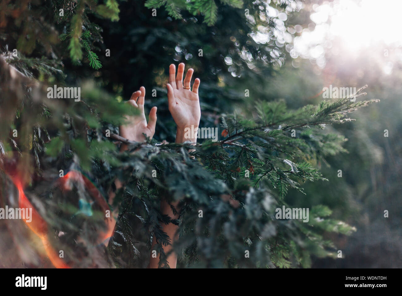 Hidden part hi-res stock photography and images - Alamy