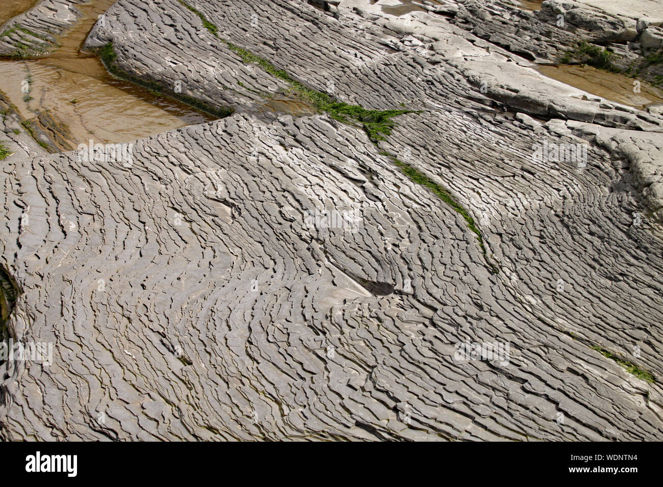 Layers of slate form an other worldly shape at Kilve beach, near East ...