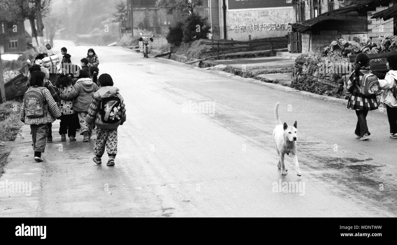 School Children Walking Home High Resolution Stock Photography and ...