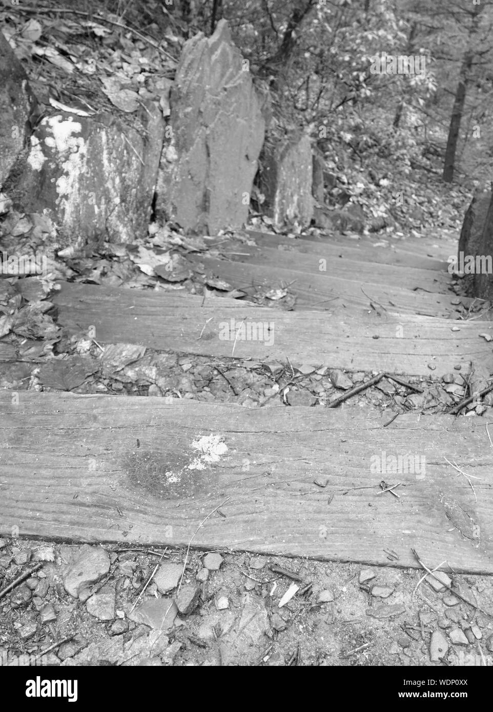 Elevated steps hi-res stock photography and images - Alamy