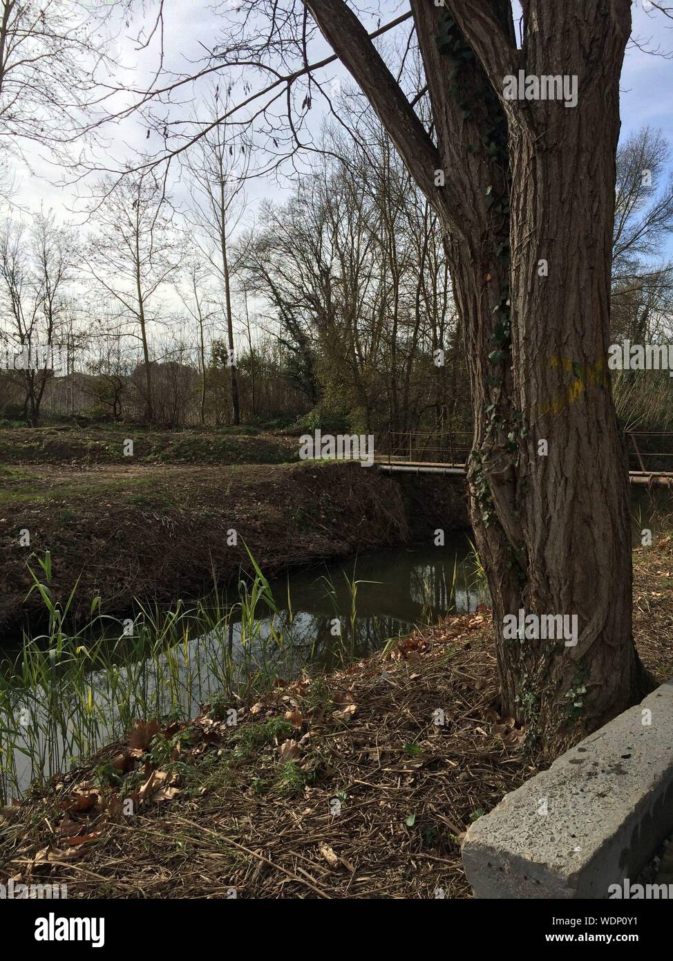 Small_river hi-res stock photography and images - Alamy