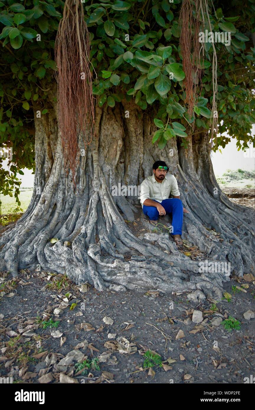 Man sitting under tree hi-res stock photography and images - Alamy