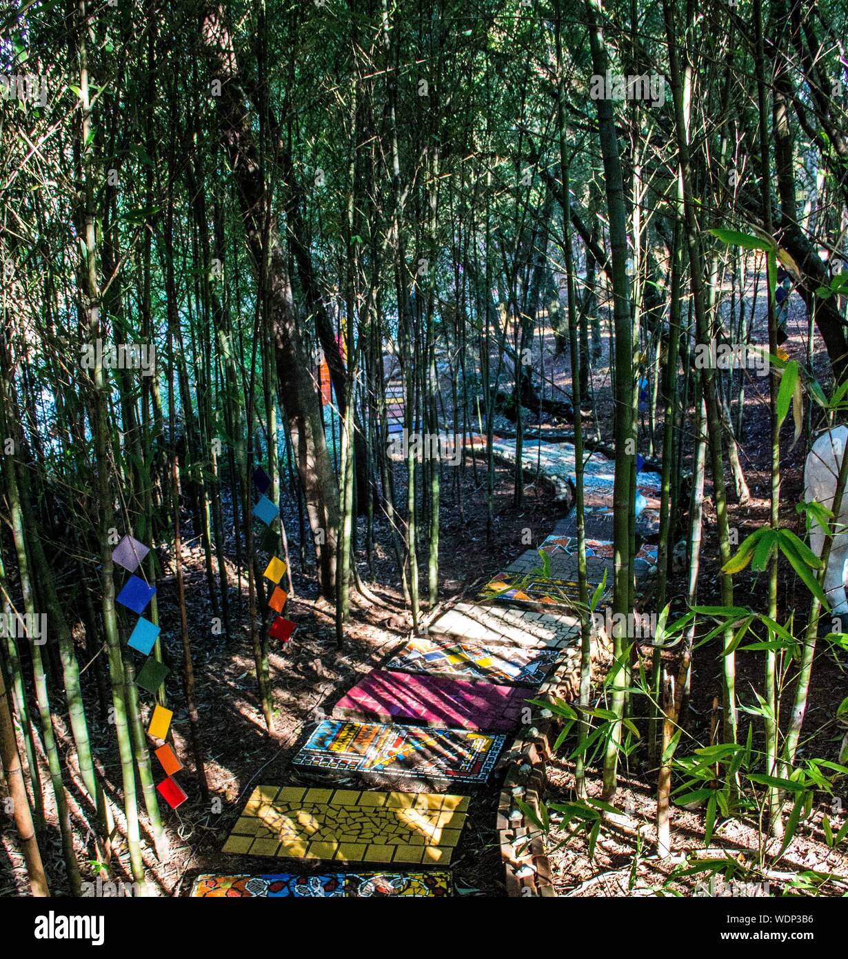 Bamboo Pathway High Resolution Stock Photography and Images - Alamy