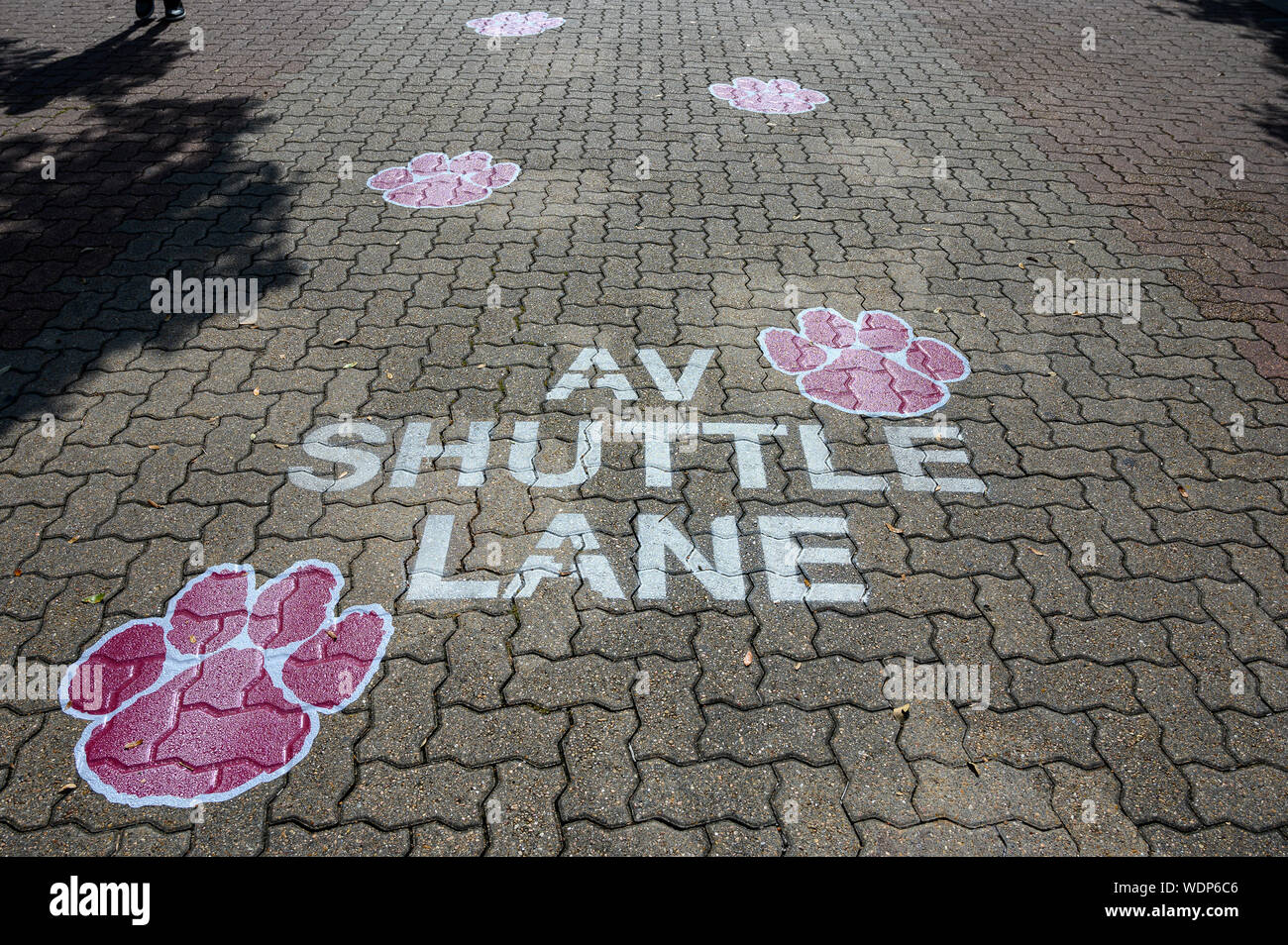 Future electric vehicle hi-res stock photography and images - Alamy