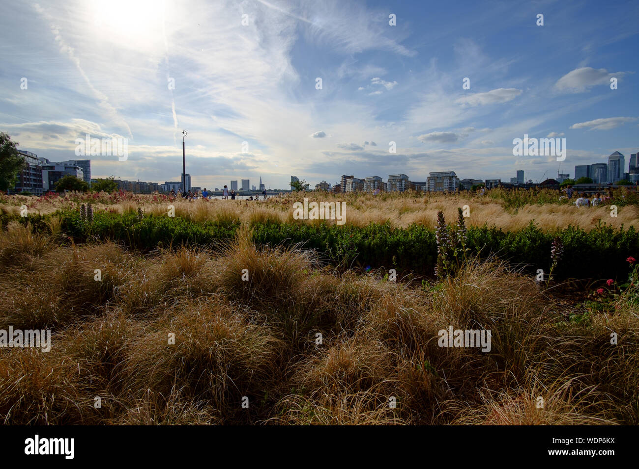 Grass and city hi-res stock photography and images - Alamy