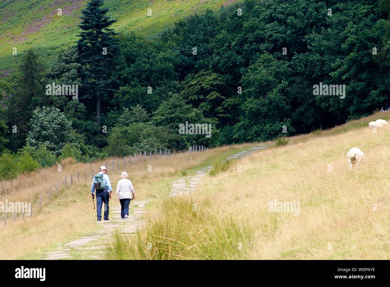 Two women walking countryside rear view hi-res stock photography and ...