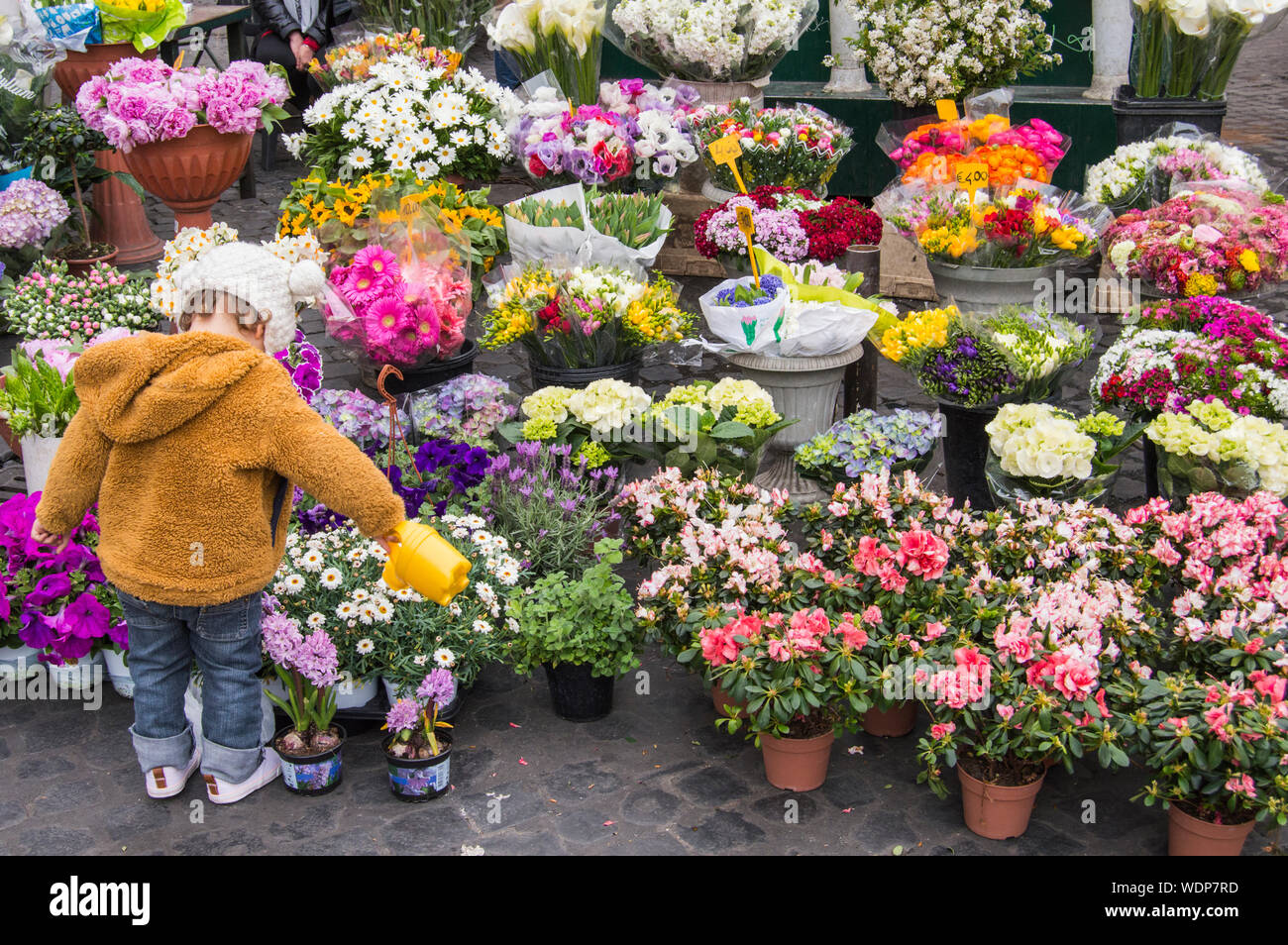 Pouring water to flowers hi-res stock photography and images - Alamy