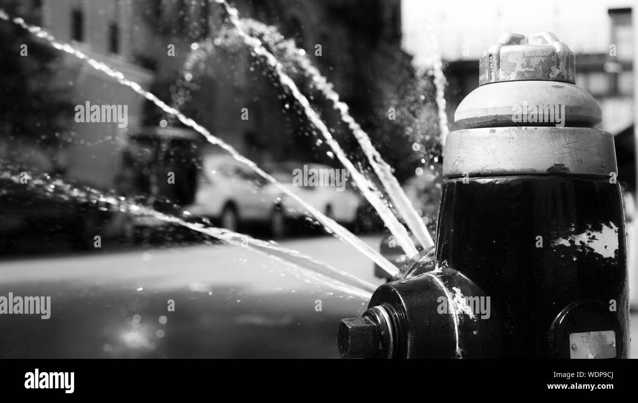 New york fire hydrant hi-res stock photography and images - Alamy