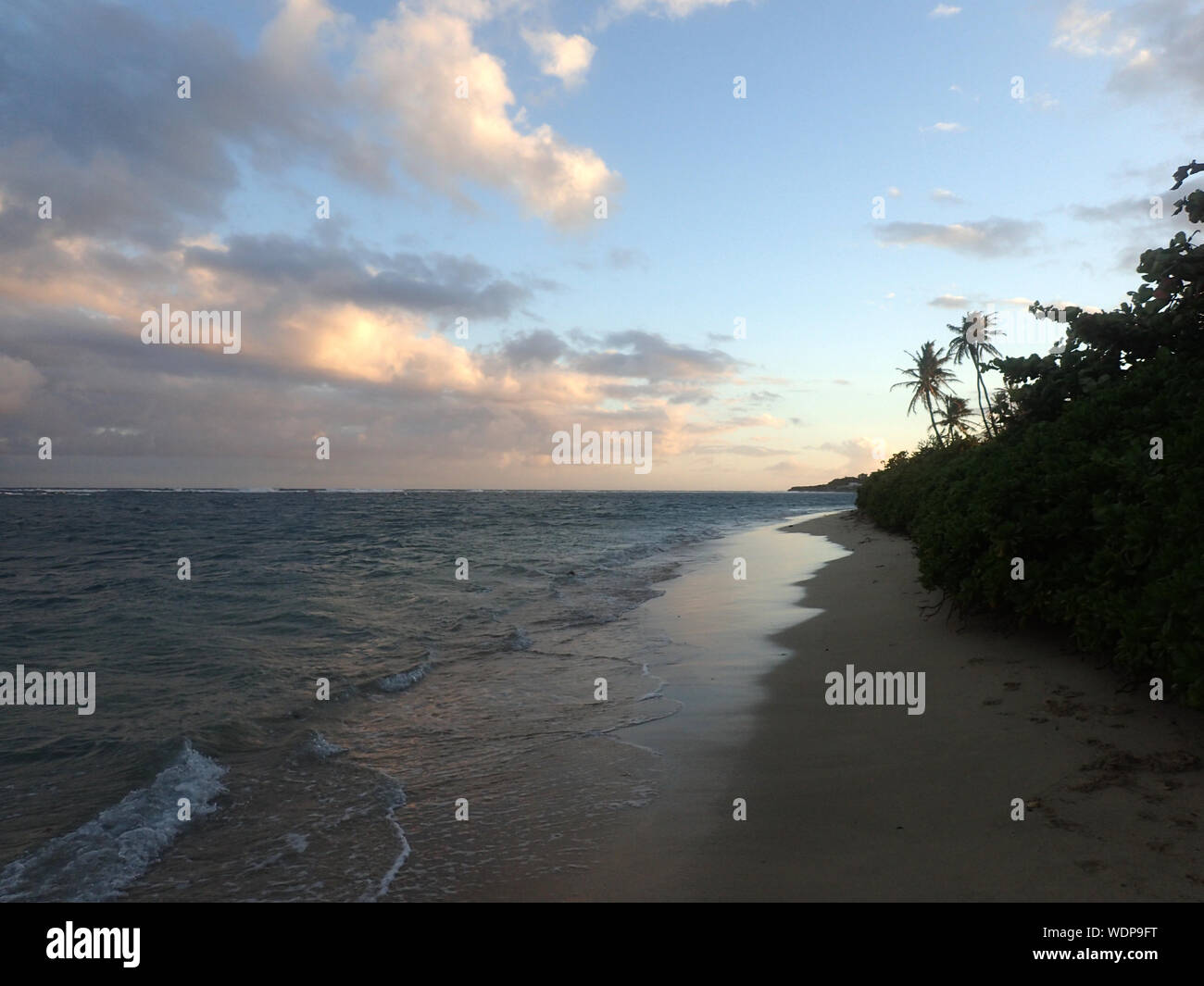 Kahala beach hi-res stock photography and images - Alamy
