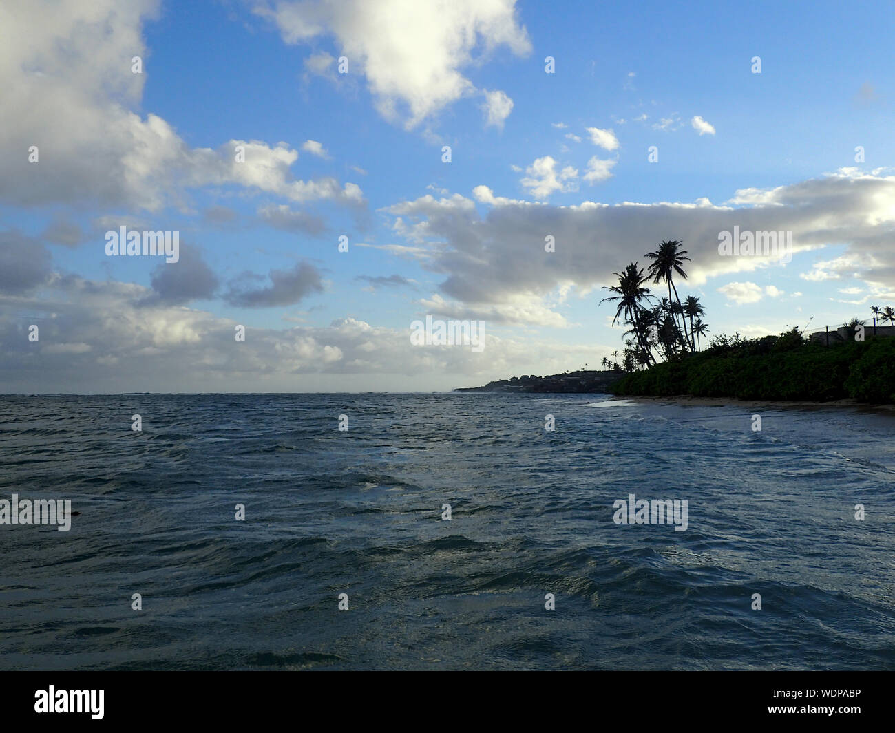 Kahala beach hi-res stock photography and images - Alamy