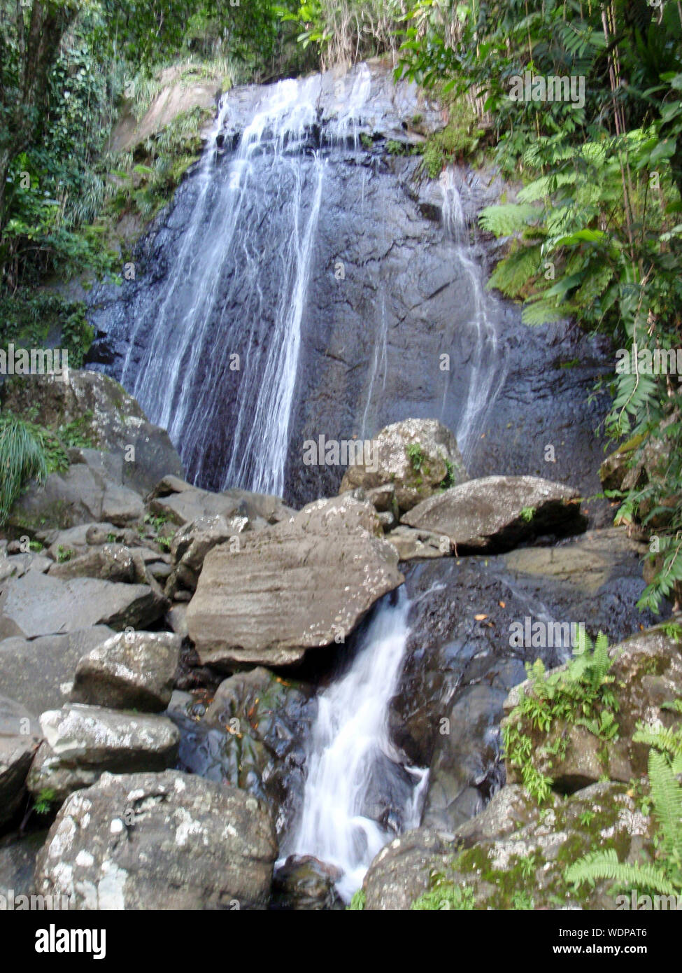 La Coca Waterfall, Rainforest waterfall in El Yunque National Forest ...