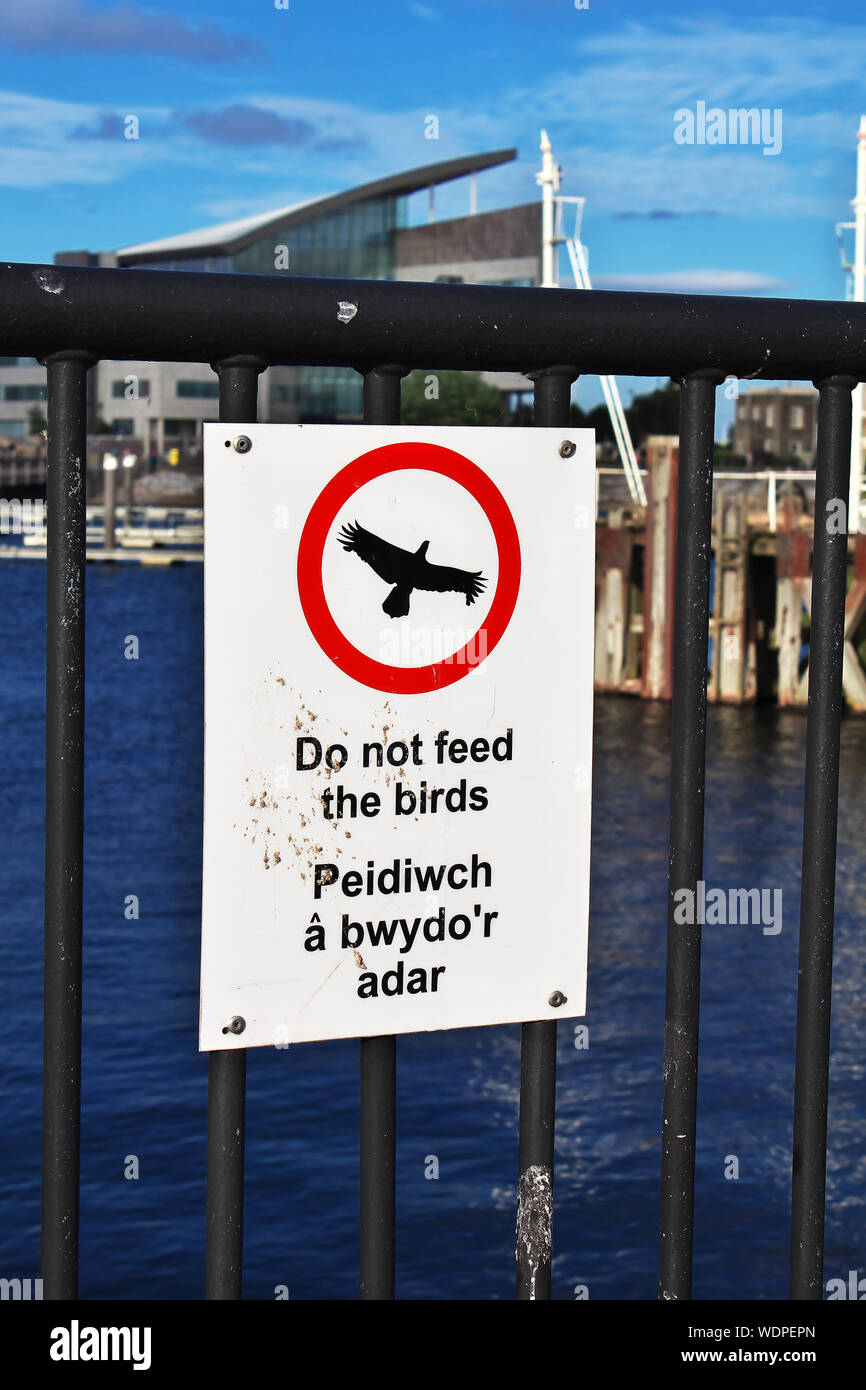 The Embankment in Cardiff city, Wales Stock Photo - Alamy