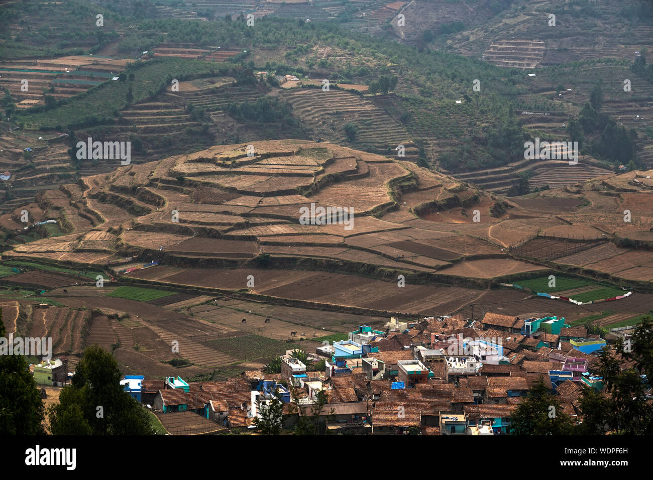 Beautiful step cultivation / terrace farming in Poombarai village near ...
