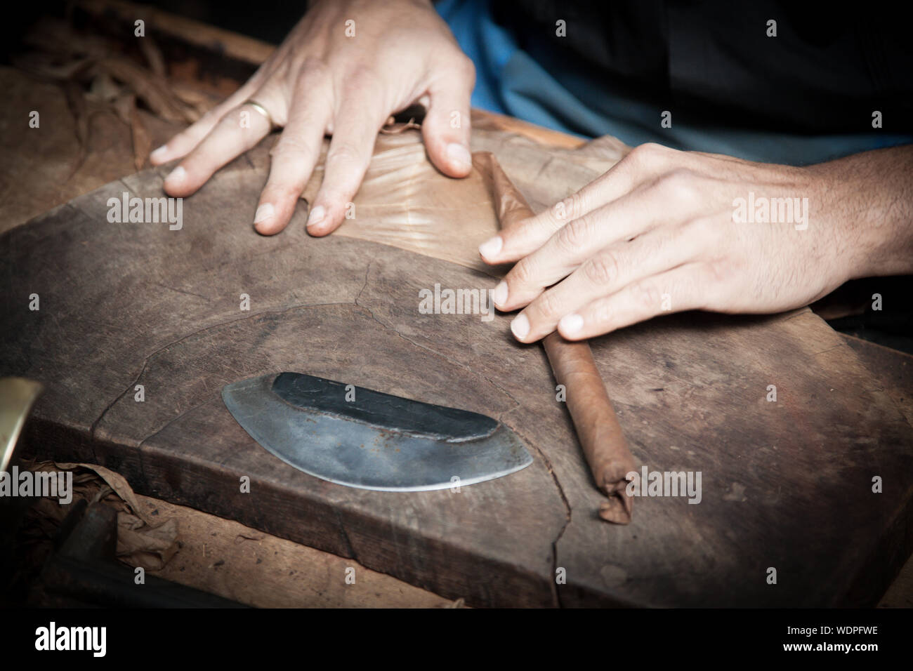 Cuban cigar making hi-res stock photography and images - Alamy